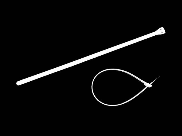 Biodegradable Options