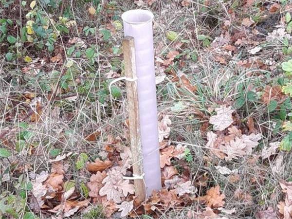 Biodegradable Options