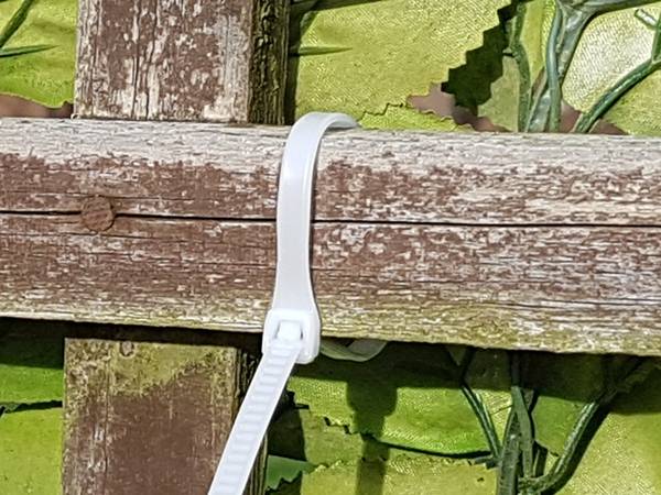 Biodegradable Options