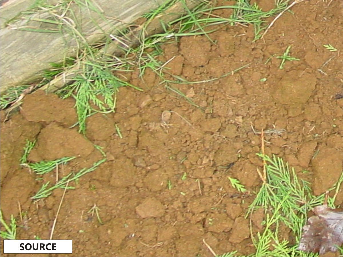 Biodegradable Cable Ties